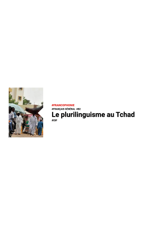 Le plurilinguisme au Tchad - Parlons français